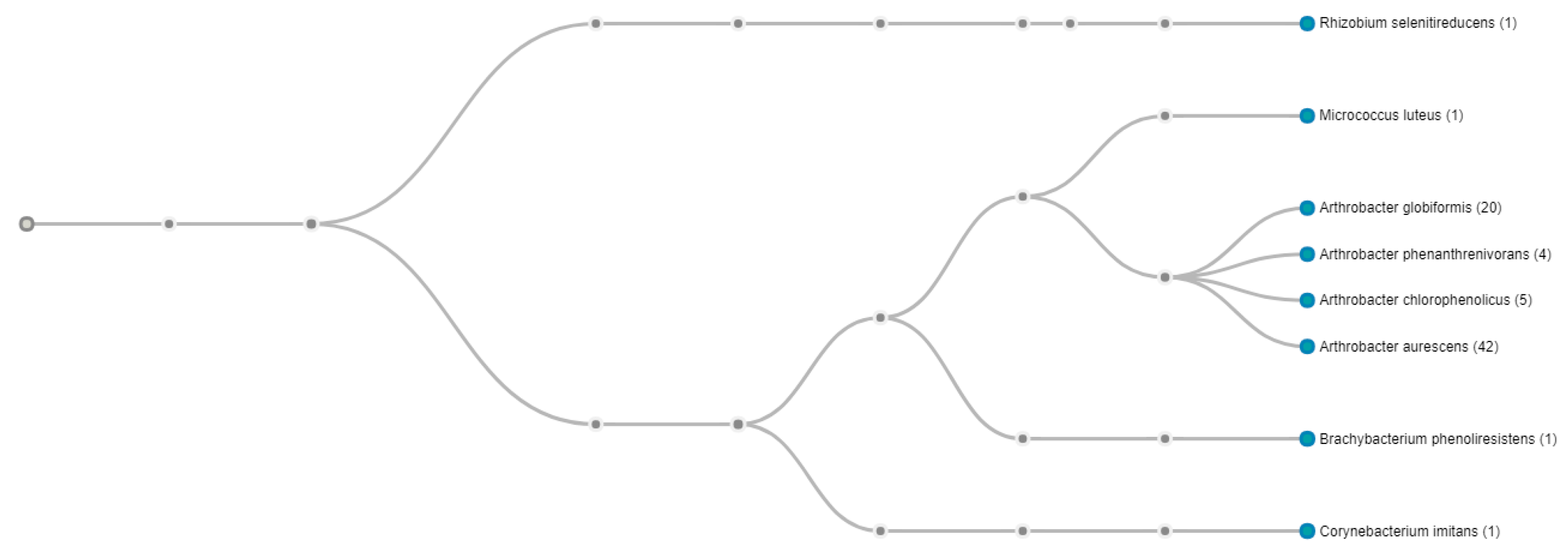 Genes | Free Full-Text | Physiological and Comparative Genomic Analysis ...