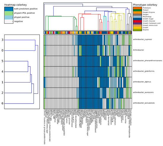 Physiological and Comparative Genomic Analysis of Arthrobacter sp. SRS ...