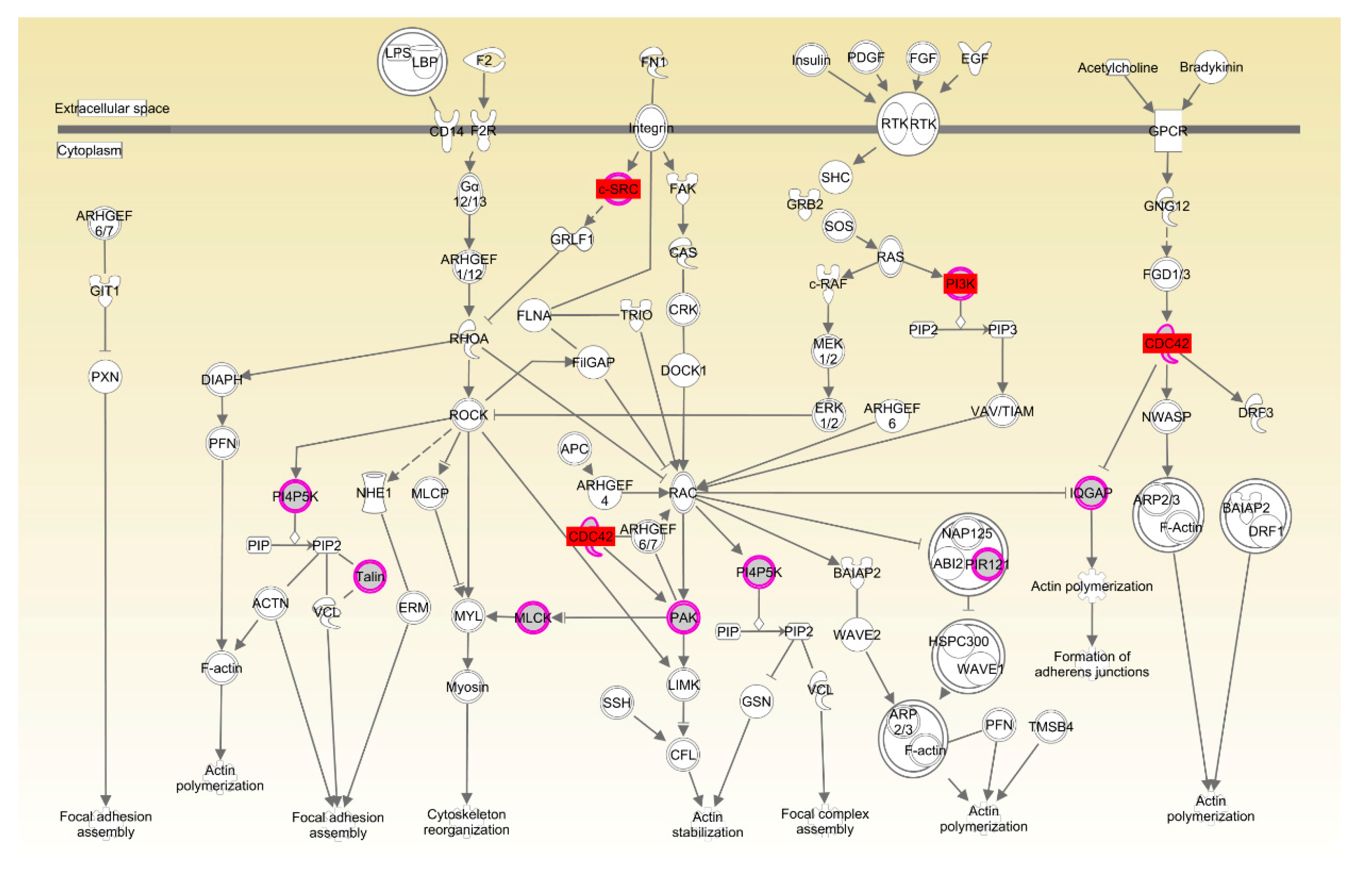 Exploring Genomic Variants Related to Residual Feed Intake in Local and ...