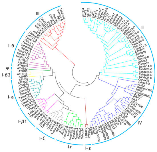 Genome-Wide Identification and Expression Analysis of the HD-Zip Gene ...