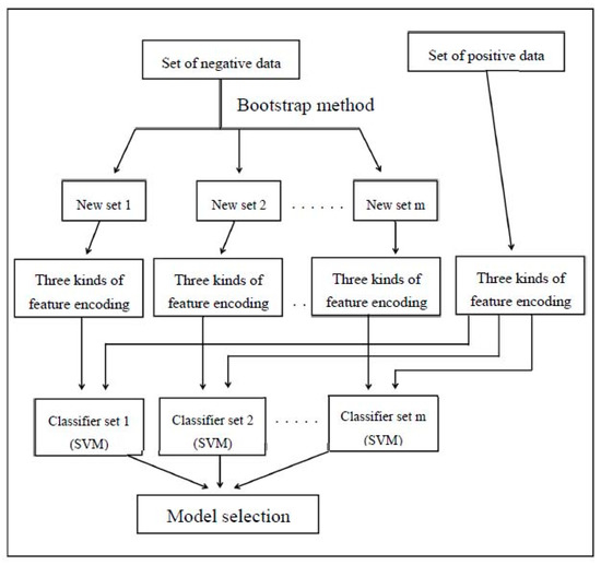 PClass: Protein Quaternary Structure Classification by Using Bootstrapping Strategy as Model ...