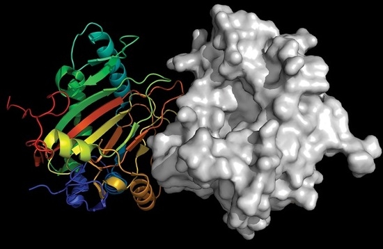 Genes | Free Full-Text | Role of the Extremolytes Ectoine and ...