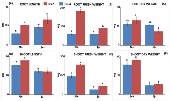Transcriptome Analysis of Two Rice Varieties Contrasting for Nitrogen ...