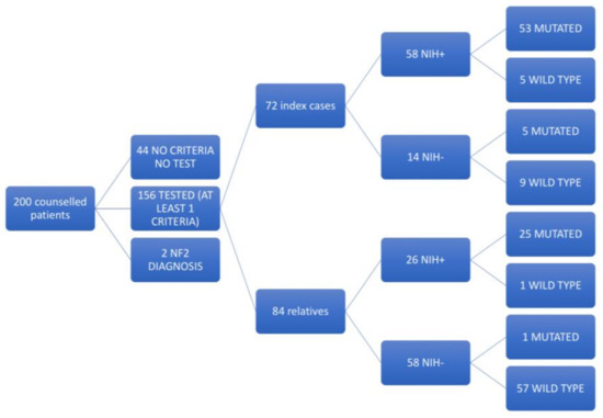 Accurate Classification of NF1 Gene Variants in 84 Italian Patients ...