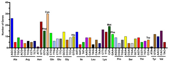 tRNA-Derived Small RNA: A Novel Regulatory Small Non-Coding RNA