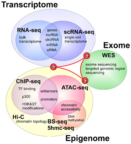 Decoding the Heart through Next Generation Sequencing Approaches