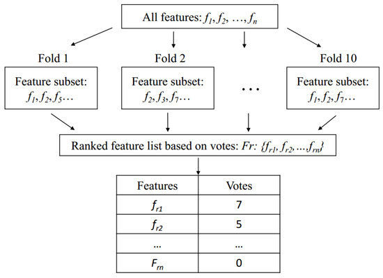 Genes | Free Full-Text | Decision Variants for the Automatic ...