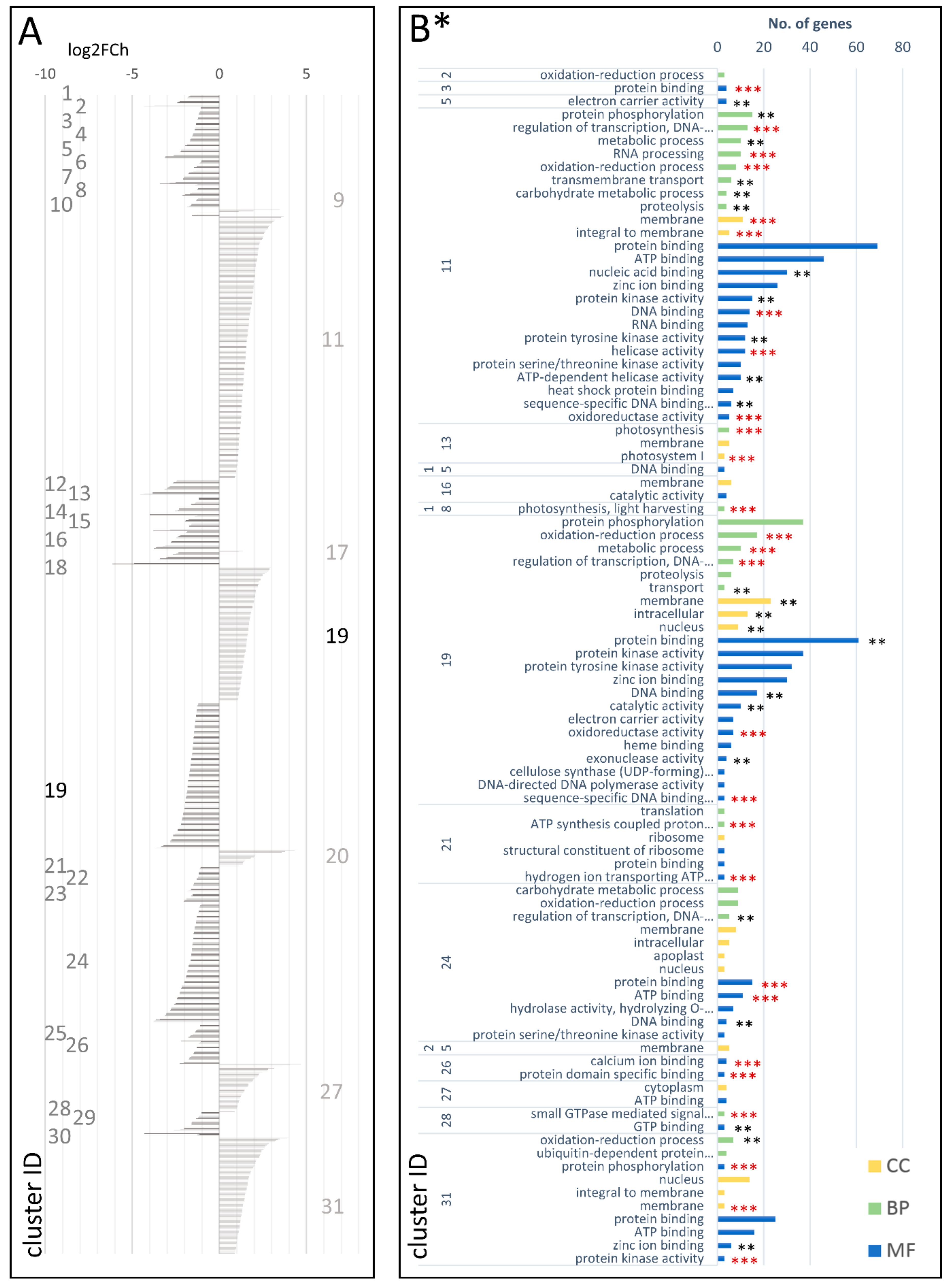 Comparative Transcriptomics of Root Development in Wild and Cultivated ...