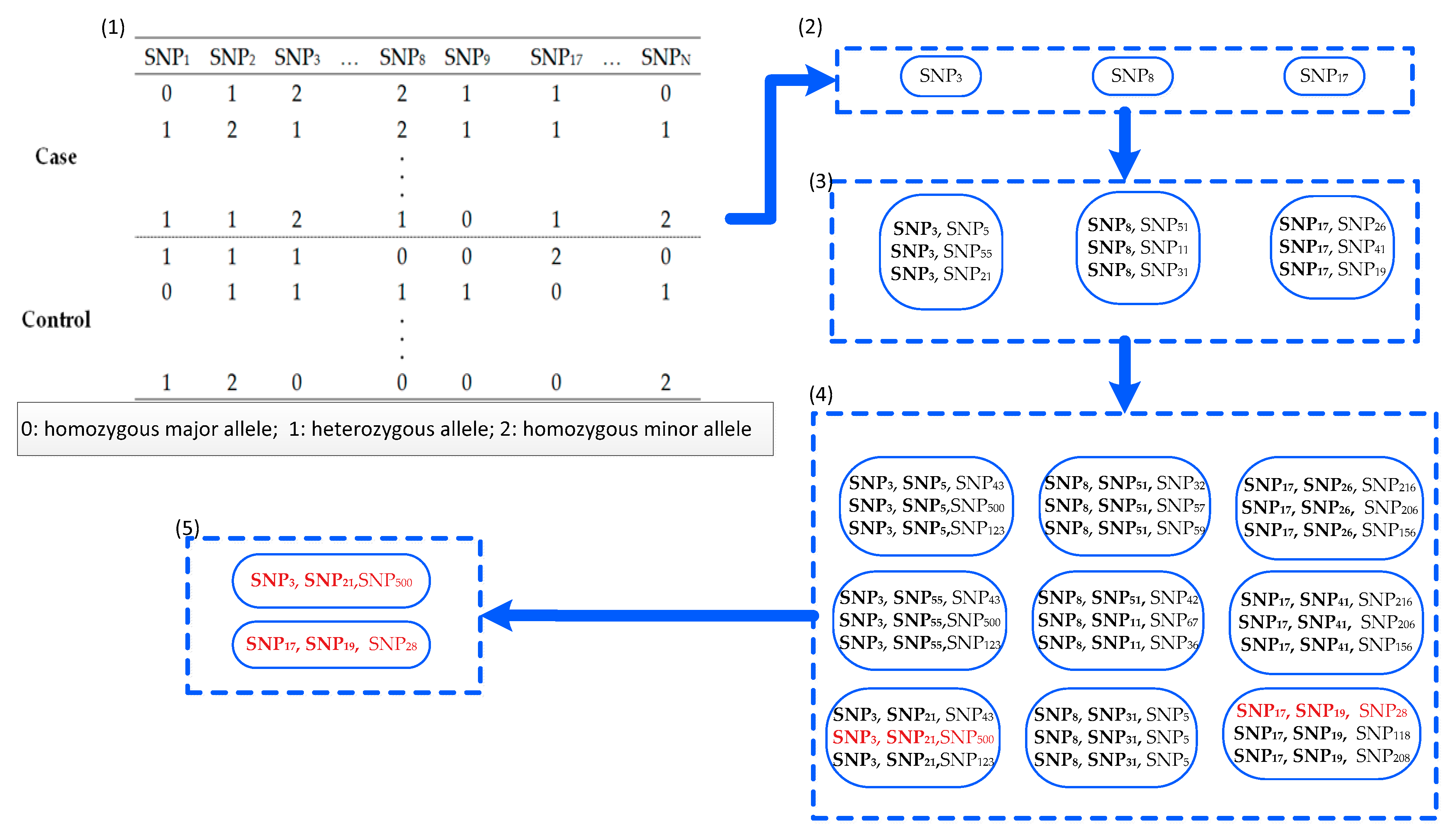 FDHE-IW: A Fast Approach for Detecting High-Order Epistasis in Genome ...
