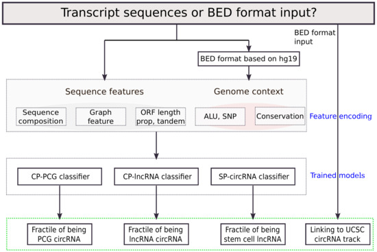 WebCircRNA: Classifying the Circular RNA Potential of Coding and ...