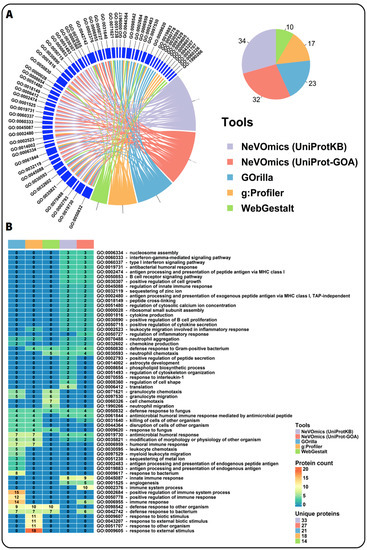 NeVOmics: An Enrichment Tool for Gene Ontology and Functional Network ...