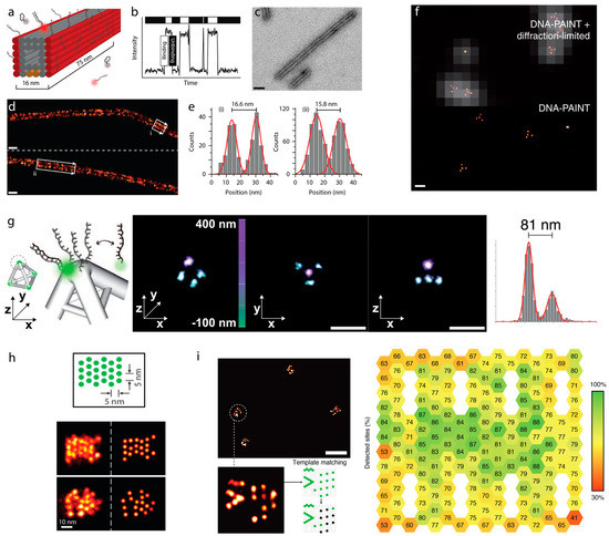 DNA-Based Super-Resolution Microscopy: DNA-PAINT