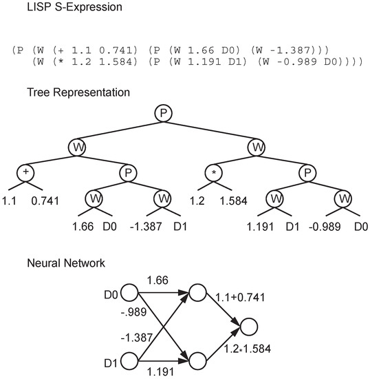 Neural Network Evolving Algorithm Based on the Triplet Codon Encoding Method