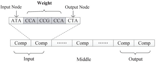 Neural Network Evolving Algorithm Based on the Triplet Codon Encoding Method