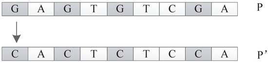 Neural Network Evolving Algorithm Based on the Triplet Codon Encoding Method