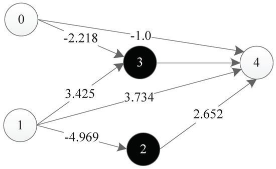 Neural Network Evolving Algorithm Based on the Triplet Codon Encoding Method
