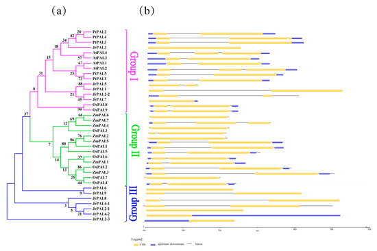 Genome-Wide Identification and Transcriptional Expression of the PAL ...