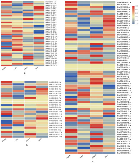 Genes | Free Full-Text | The Gene Structure and Expression Level ...