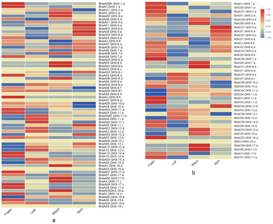 Genes | Free Full-Text | The Gene Structure and Expression Level ...