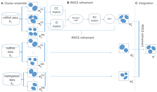 A Random Walk Based Cluster Ensemble Approach for Data Integration and Cancer Subtyping