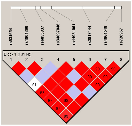 Skin Color Genetics Calculator - Infoupdate Wallpaper Images