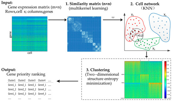 A Hybrid Clustering Algorithm for Identifying Cell Types from Single ...