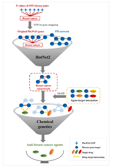 PheWAS-Based Systems Genetics Methods for Anti-Breast Cancer Drug Discovery