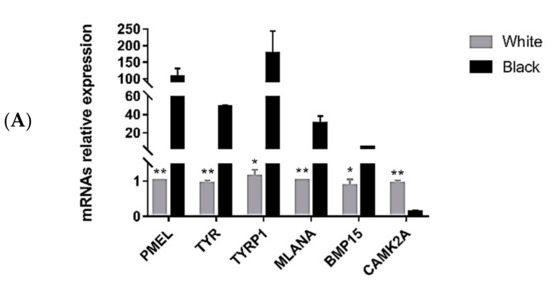 Transcriptomic Analysis of Coding Genes and Non-Coding RNAs Reveals Complex Regulatory Networks ...