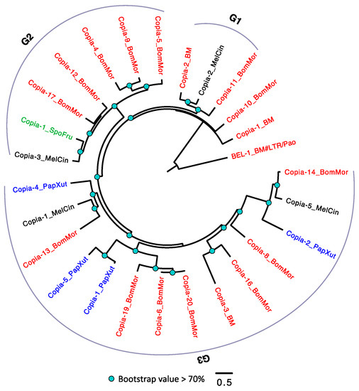 Genes | Special Issue : Repetitive DNA Sequences