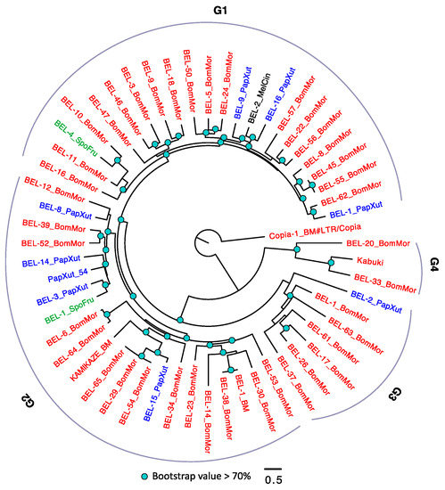Genes | Special Issue : Repetitive DNA Sequences