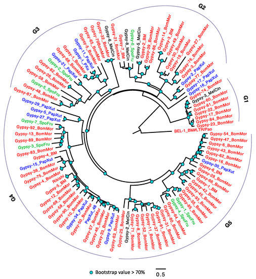 Genes | Special Issue : Repetitive DNA Sequences