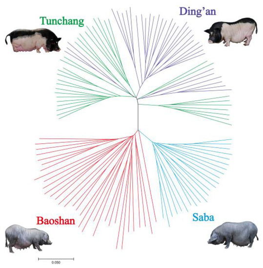 Genome-Wide Signatures of Selection Detection in Three South China ...