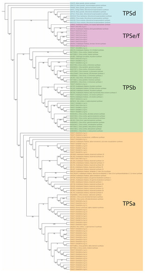 Leaf Transcriptome Assembly of Protium copal (Burseraceae) and ...