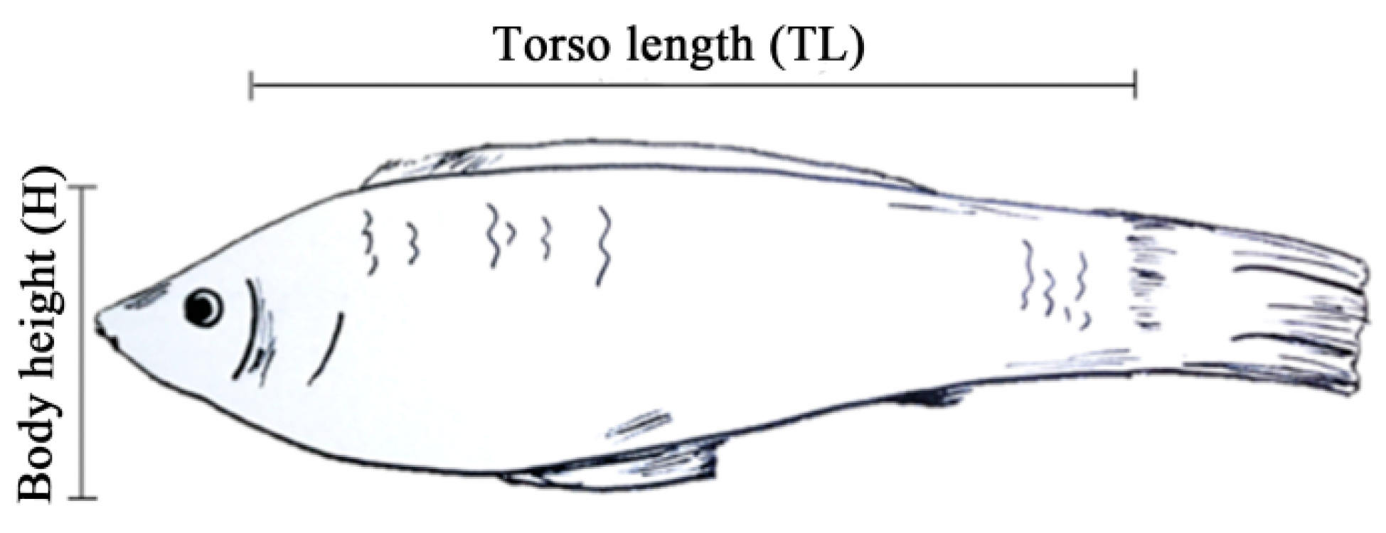 Identification of Loci Controlling the Dwarfism Trait in the White ...