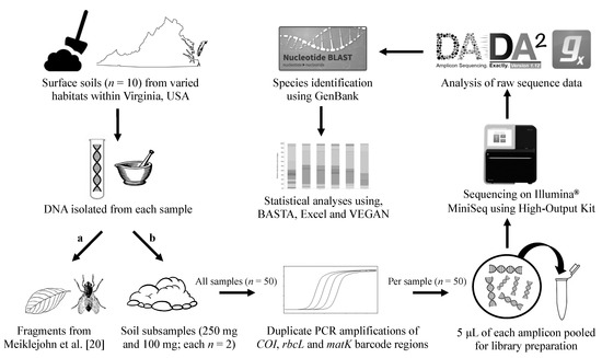 Single Fragment or Bulk Soil DNA Metabarcoding: Which is Better for ...
