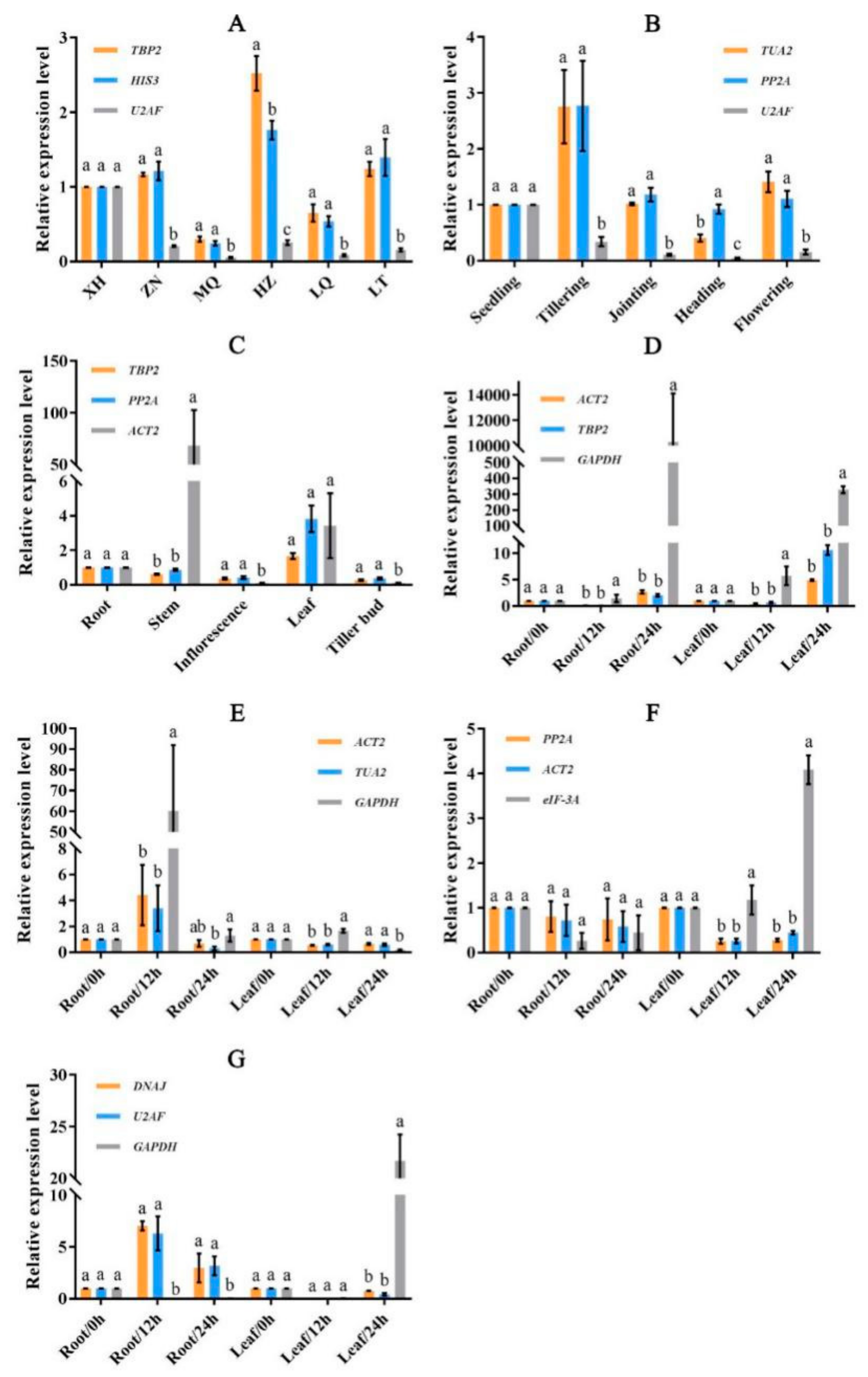 Genes | Free Full-Text | Selection of Suitable Reference Genes for RT ...