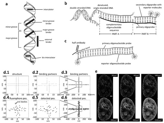 Super-Resolution Microscopy of Chromatin