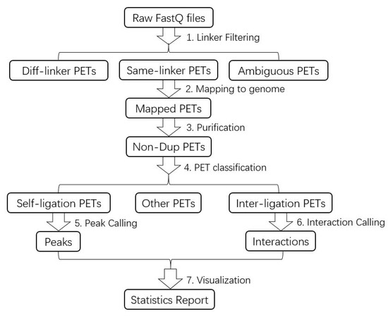 Chromatin Interaction Analysis with Updated ChIA-PET Tool (V3)