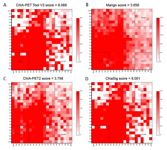 Chromatin Interaction Analysis with Updated ChIA-PET Tool (V3)