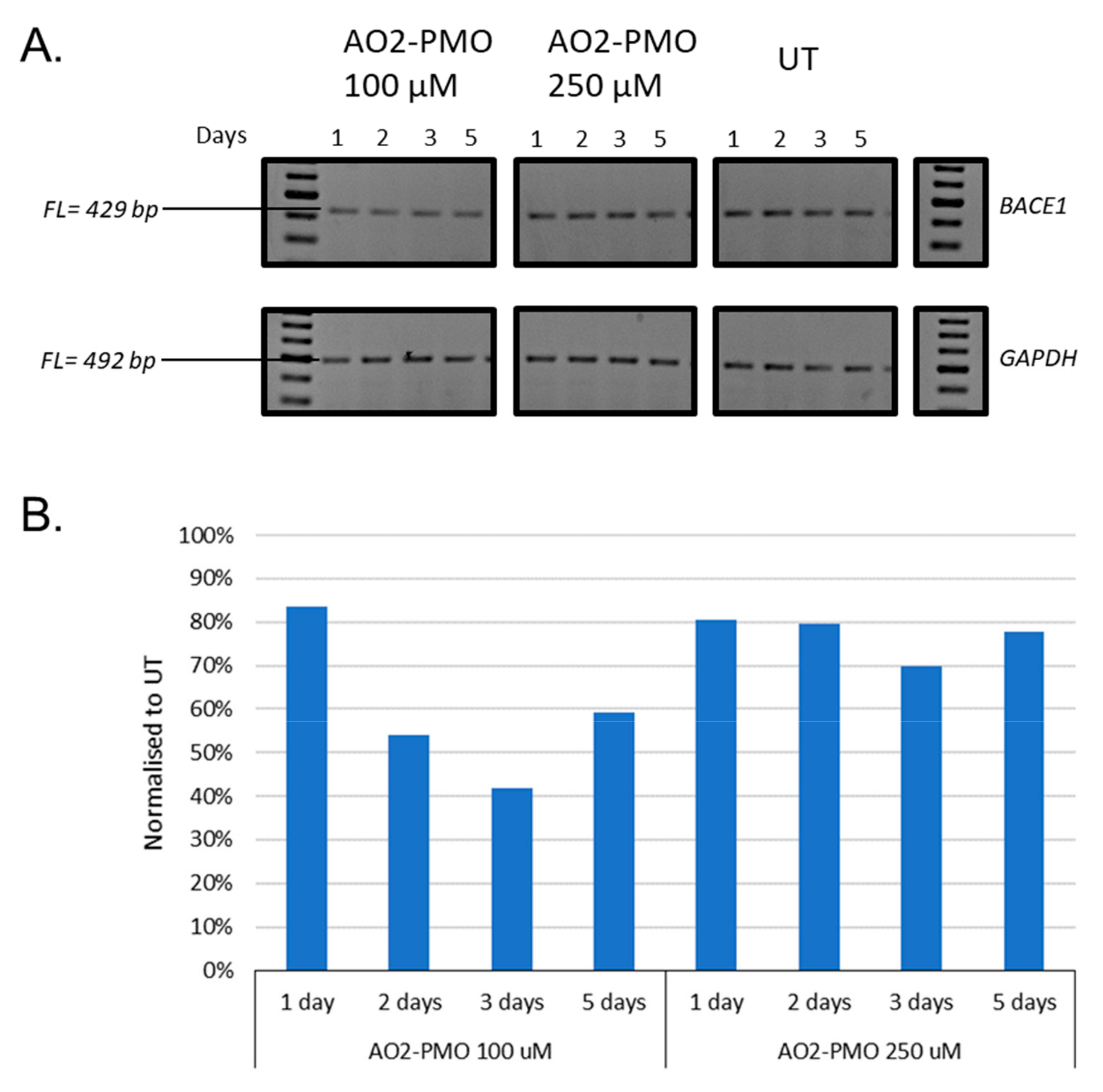 BACE1 Inhibition Using 2’-OMePS Steric Blocking Antisense Oligonucleotides