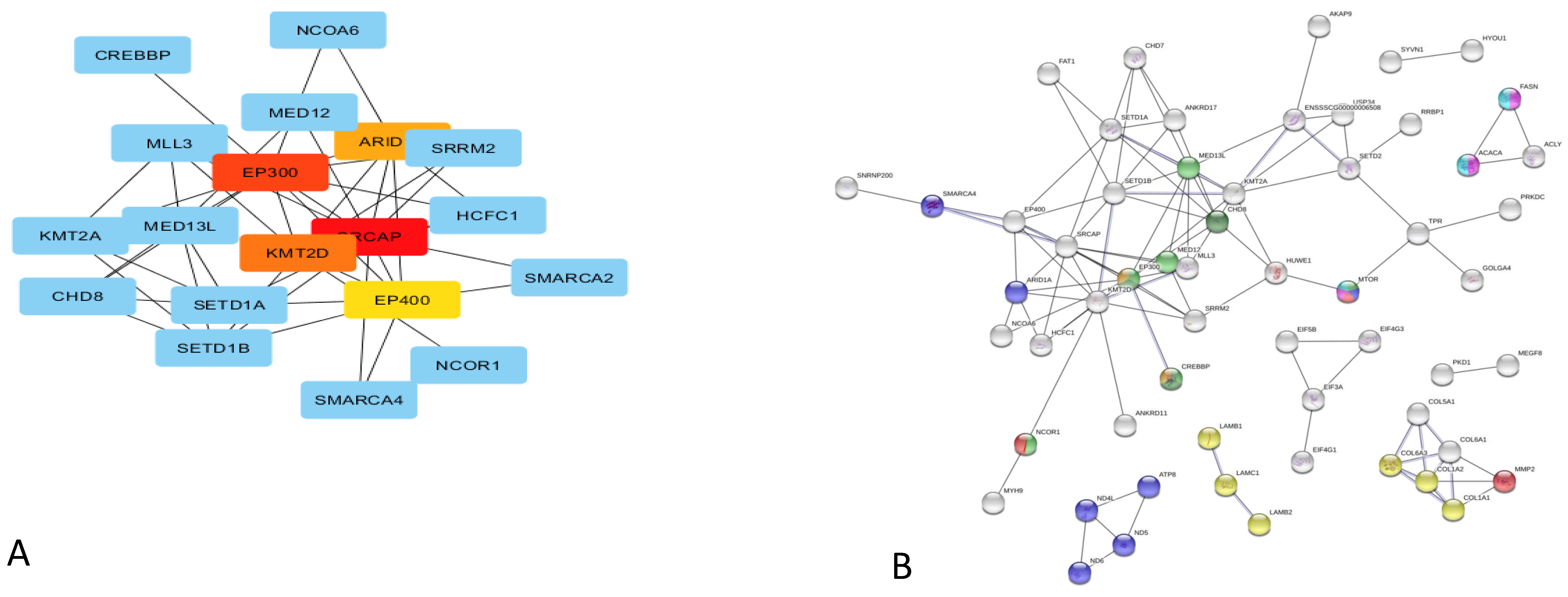 Genes | Free Full-Text | The Pituitary Transcriptional Response Related ...