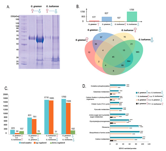 Pollination Drop Proteome and Reproductive Organ Transcriptome ...
