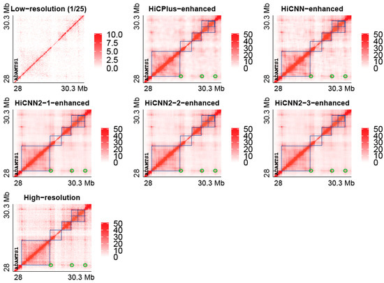 HiCNN2: Enhancing the Resolution of Hi-C Data Using an Ensemble of ...