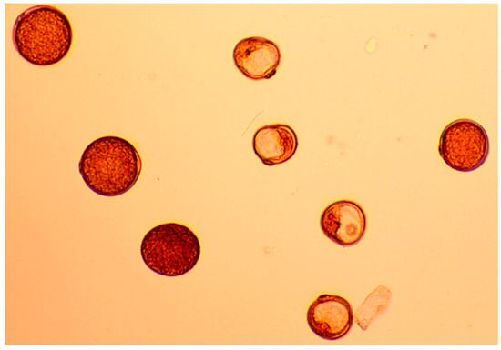 Semidwarf Gene d60 Affected by Ubiquitous Gamete Lethal Gene gal ...