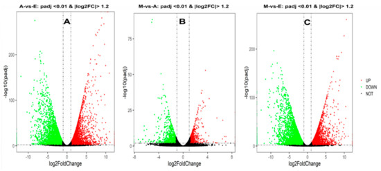 Transcriptome and DNA Methylation Analyses of the Molecular Mechanisms ...