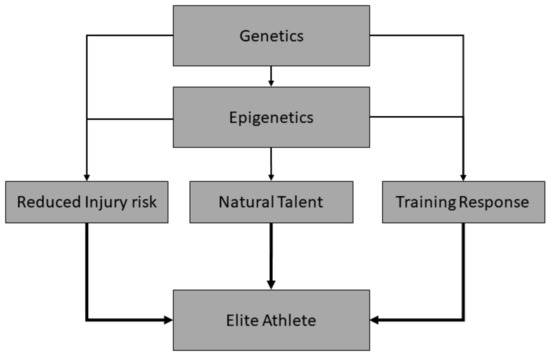 Genes | Free Full-Text | Can Genetic Testing Identify Talent for Sport?