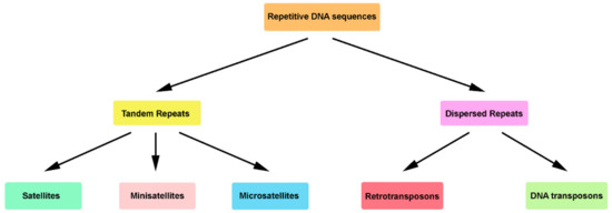 Conversion of DNA Sequences: From a Transposable Element to a Tandem ...