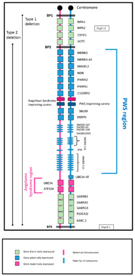 Genes | Free Full-Text | Defining Mental and Behavioural Disorders in ...