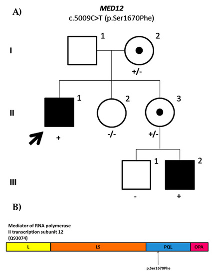 Targeted Next-Generation Sequencing in Patients with Suggestive X ...