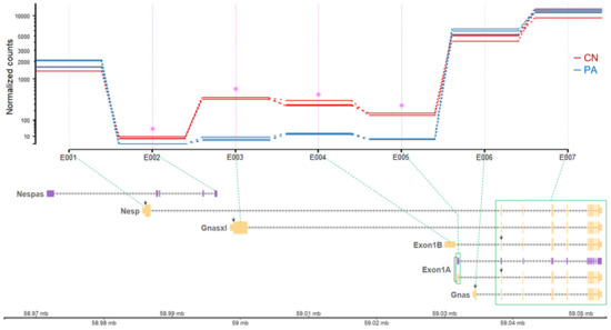 Identification of a Novel Imprinted Transcript in the Porcine GNAS ...